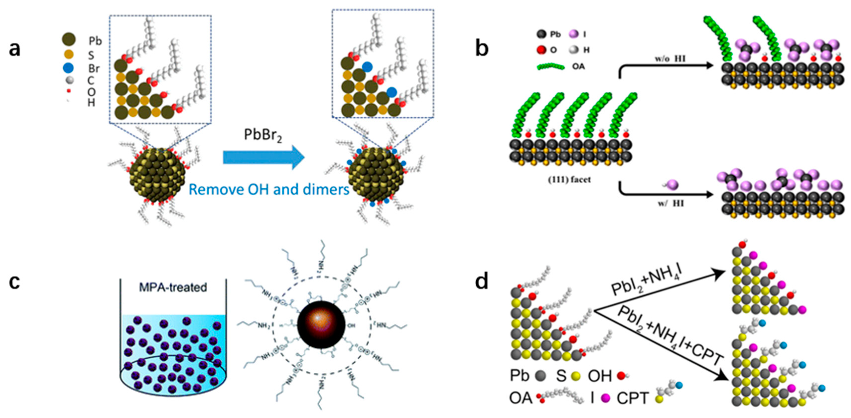 PbS Colloidal Quantum Dots: Ligand Exchange in Solution