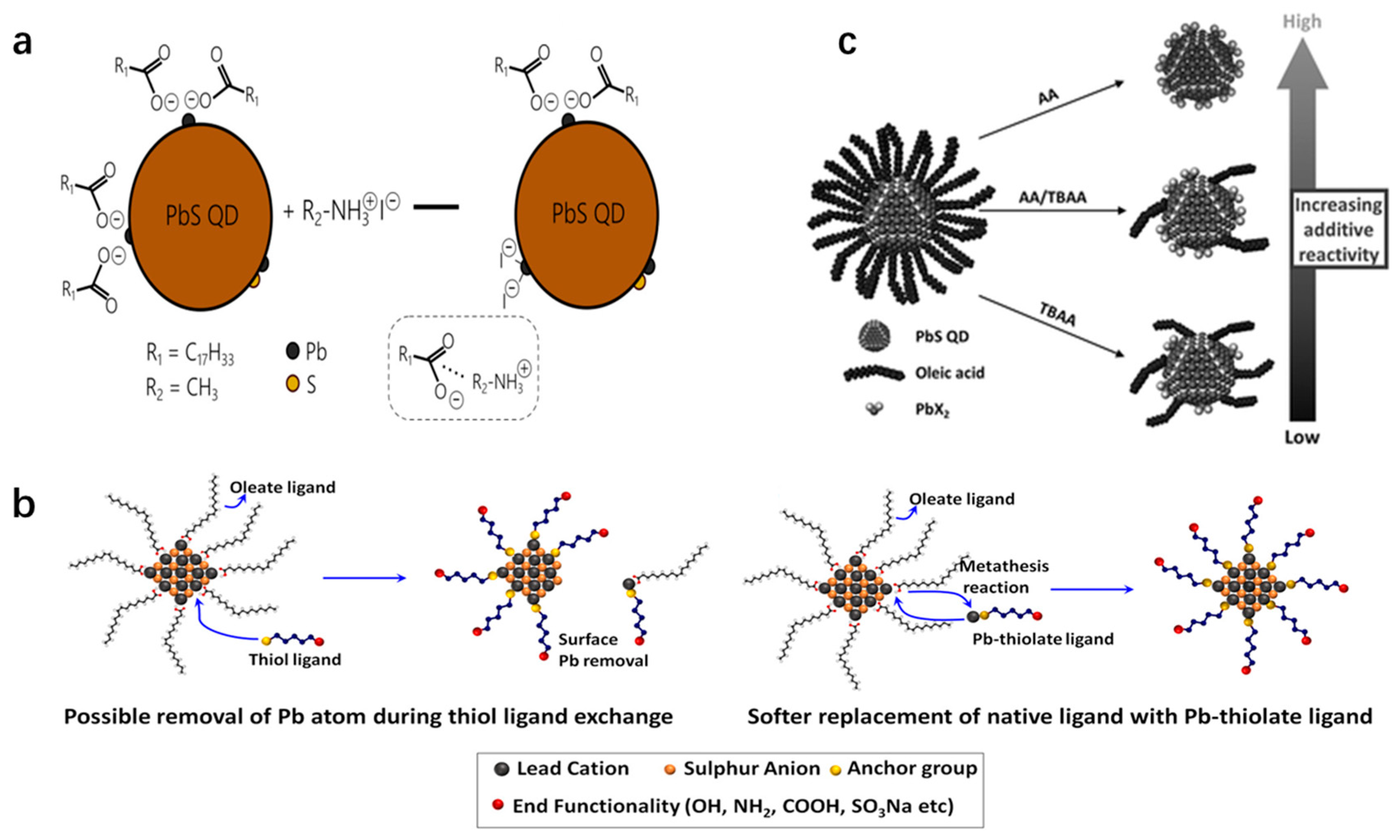 PbS Colloidal Quantum Dots: Ligand Exchange in Solution