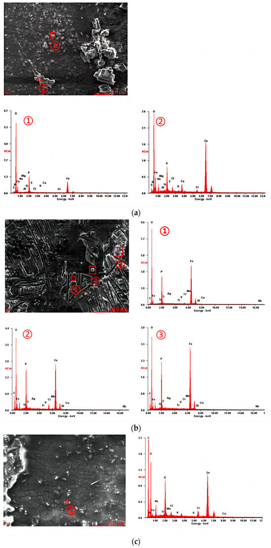 Coatings | Free Full-Text | Effect of Temperature and Immersion Time on ...
