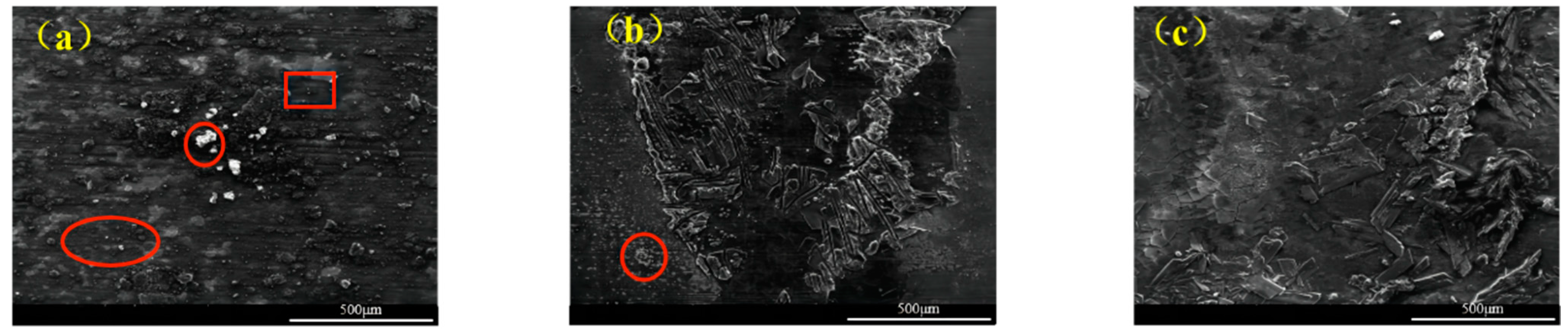 Coatings | Free Full-Text | Effect of Temperature and Immersion Time on ...