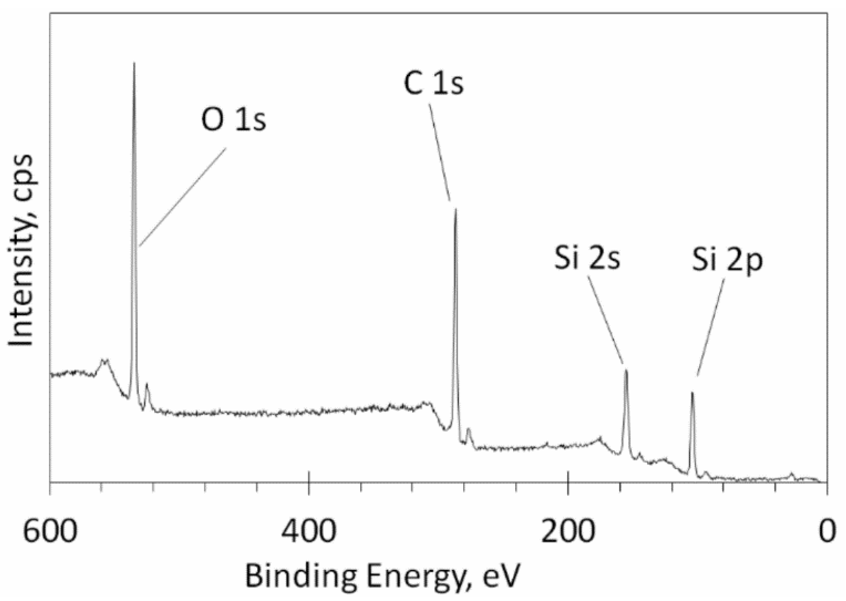 Anti-Corrosion SiOx-Doped DLC Coating for Raster Steel Linear Scales