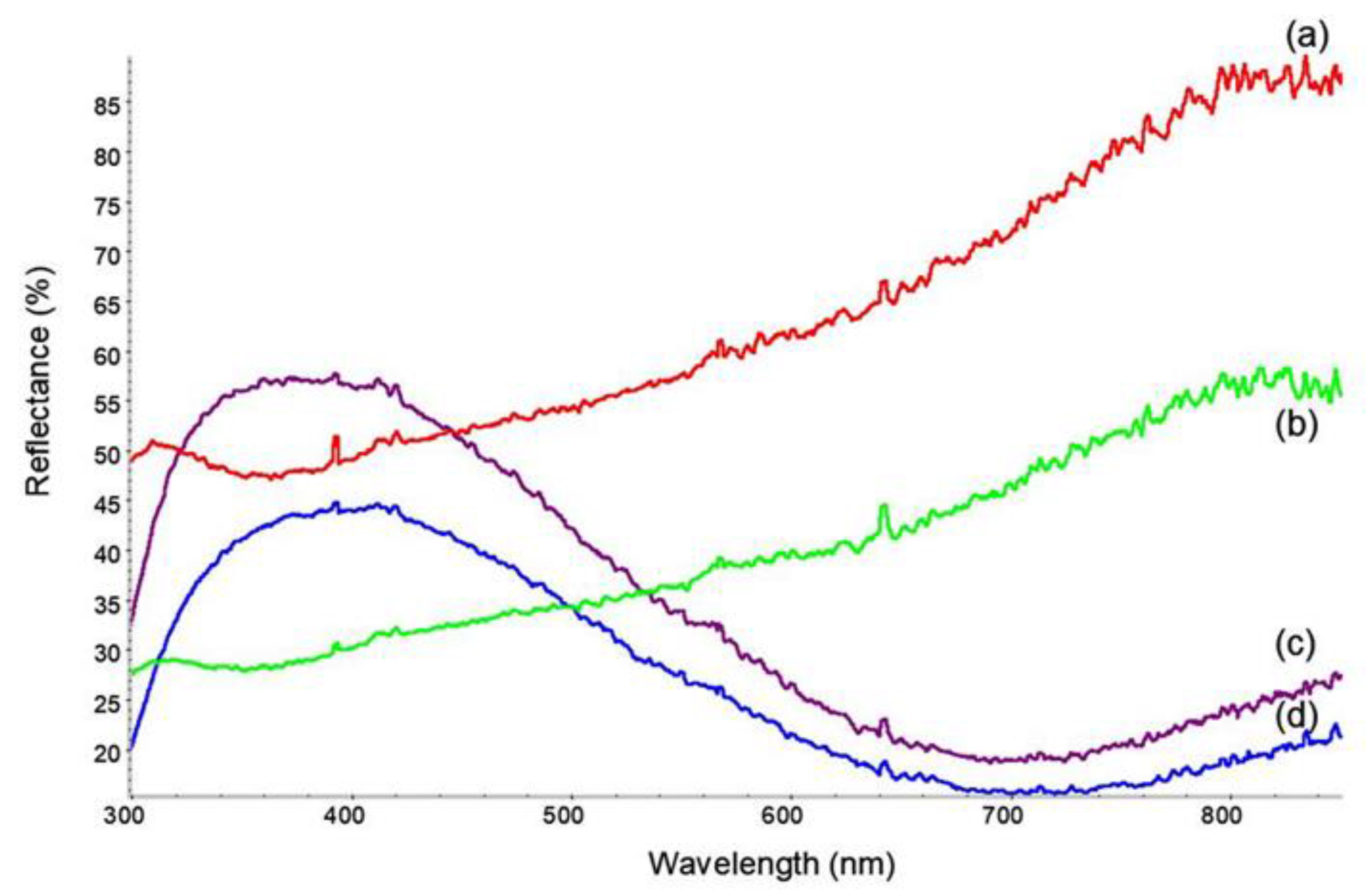 Anti-Corrosion SiOx-Doped DLC Coating for Raster Steel Linear Scales