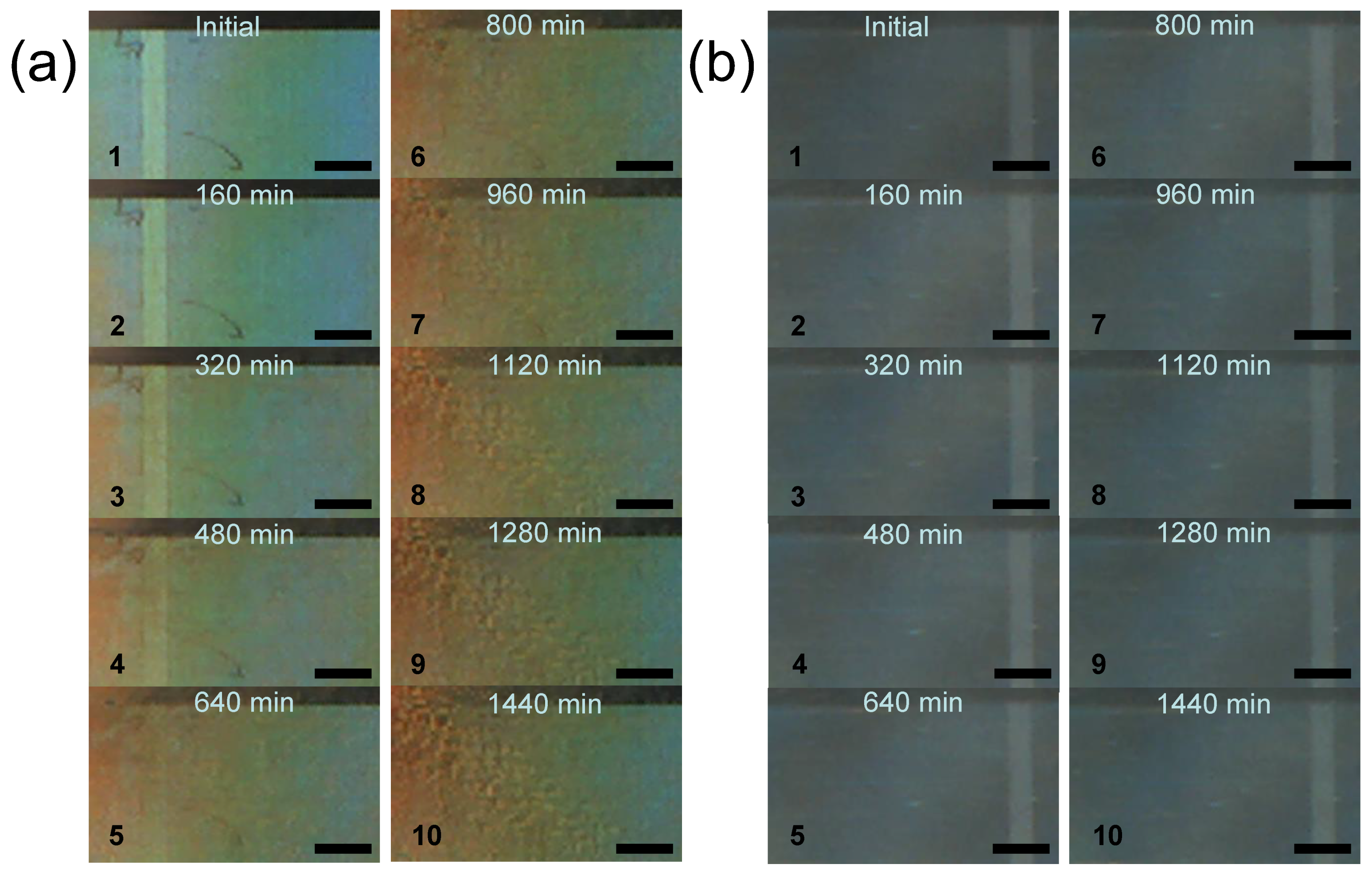 Anti-Corrosion SiOx-Doped DLC Coating for Raster Steel Linear Scales