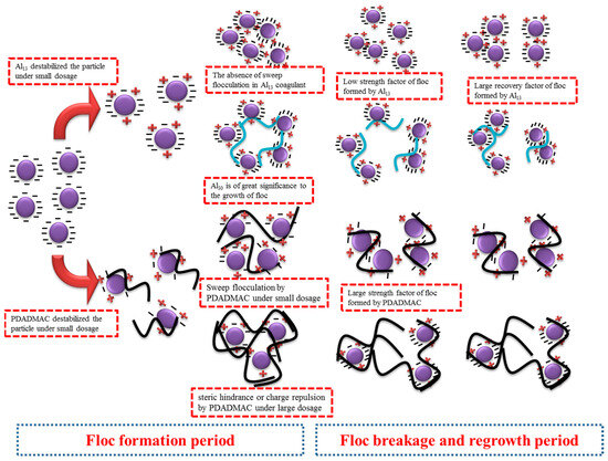 Coatings | Free Full-Text | Enhanced Coagulation for Algae Removal ...