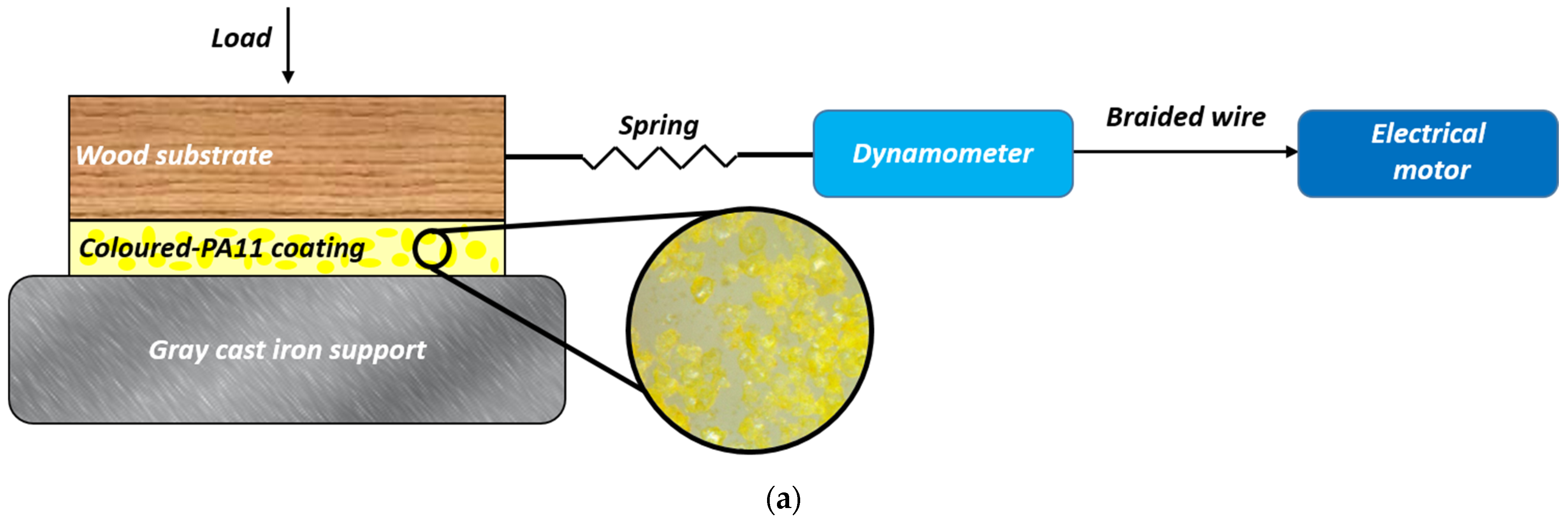 Exploiting Turmeric’s Coloring Capability to Develop a Functional ...