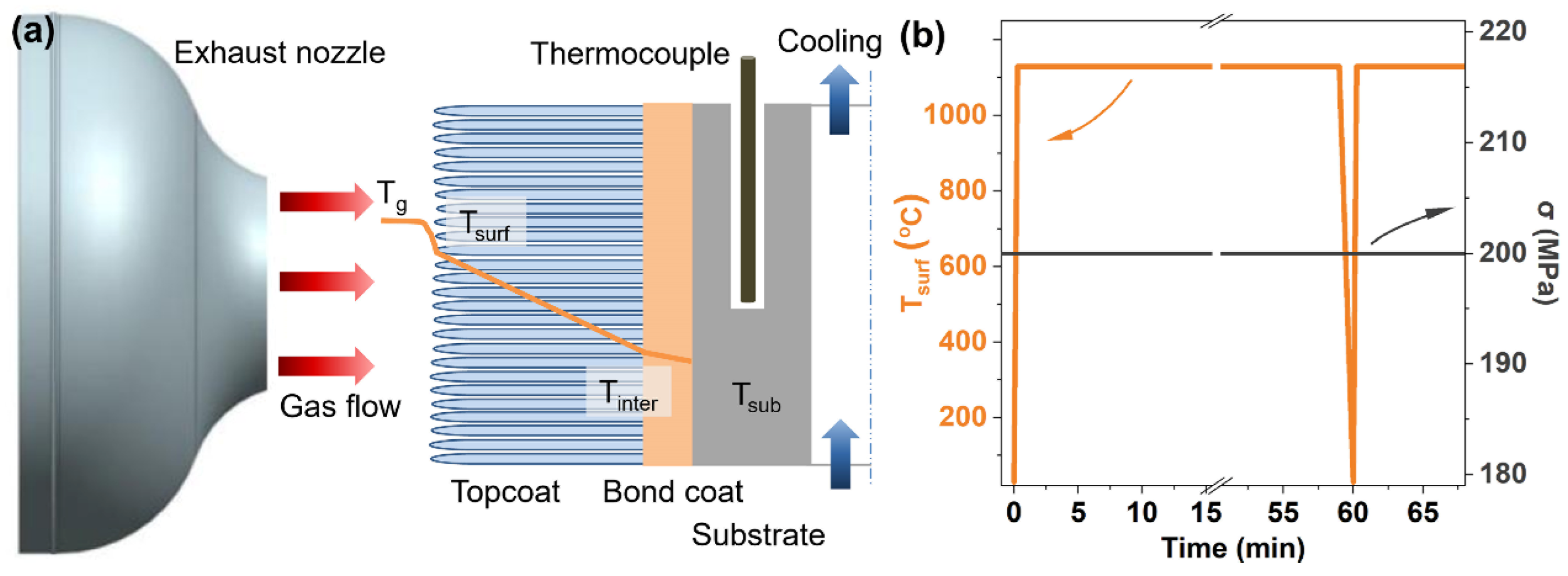 Failure of Electron Beam Physical Vapor Deposited Thermal Barrier Coatings System under Cyclic ...