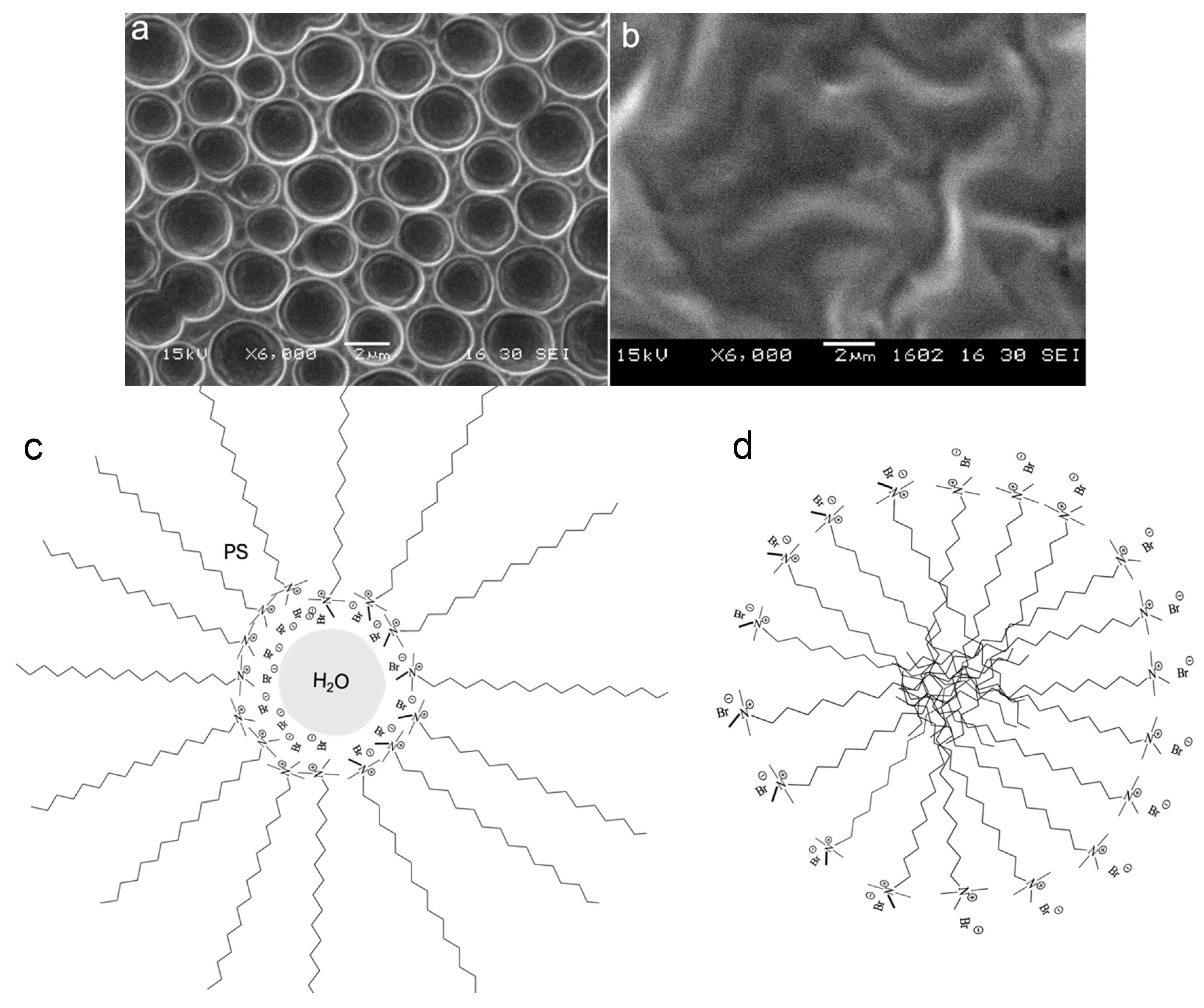 Coatings | Free Full-Text | Creating Diverse Patterns on Thin ...