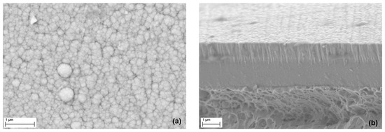 High-Temperature Mechanical and Tribological Performance of W-DLC ...
