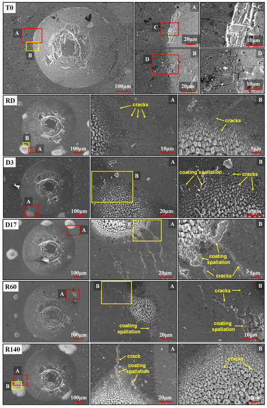 Experimental Study and Mechanism Analysis of the Influence of Micro ...