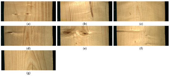 Coatings | Free Full-Text | SiM-YOLO: A Wood Surface Defect Detection ...