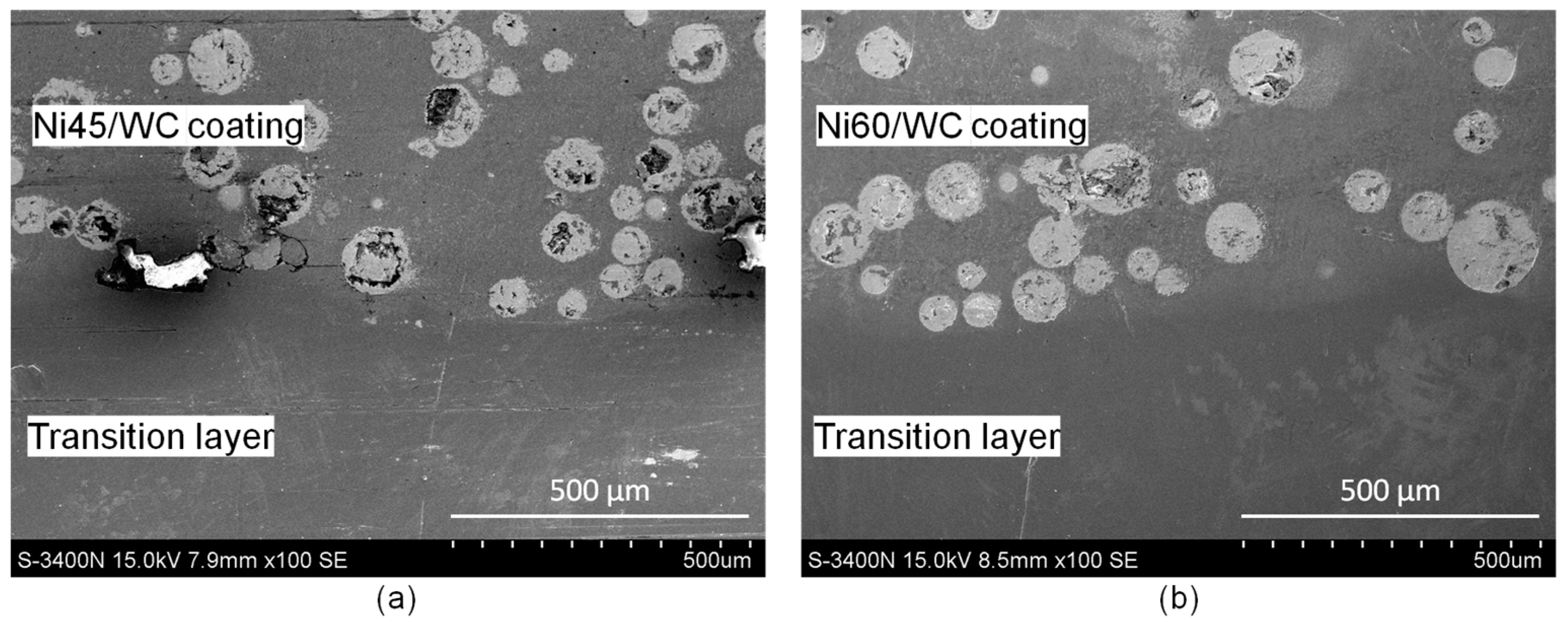 Properties of Laser-Clad Stainless Steel–Ni/WC Double-Layer Coatings