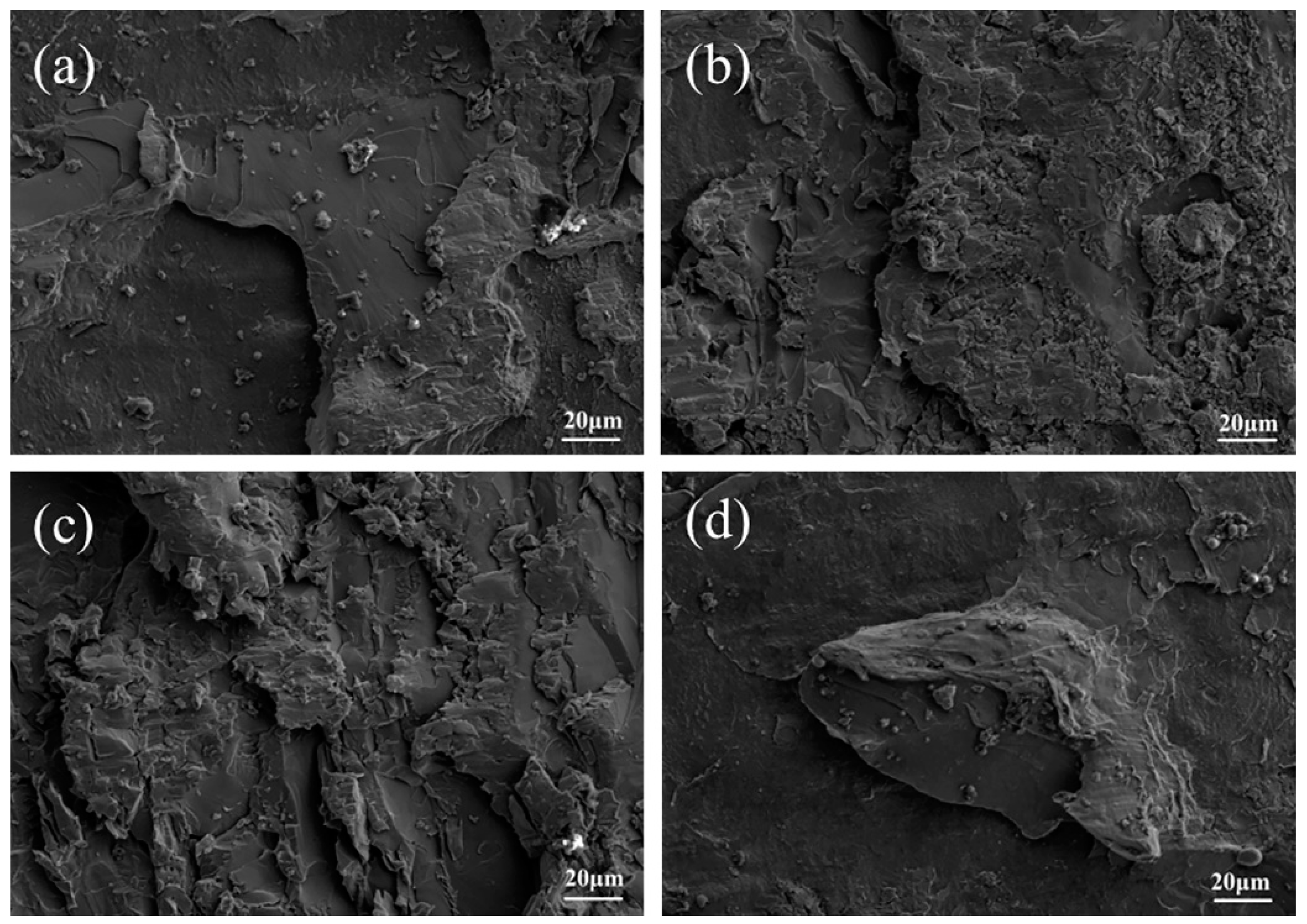 Effect of Heat Treatment Temperature on the Microstructure and ...