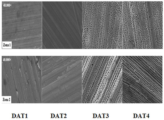 The Effect of Anodization and Thermal Treatment on Mixed-Oxide Layer ...