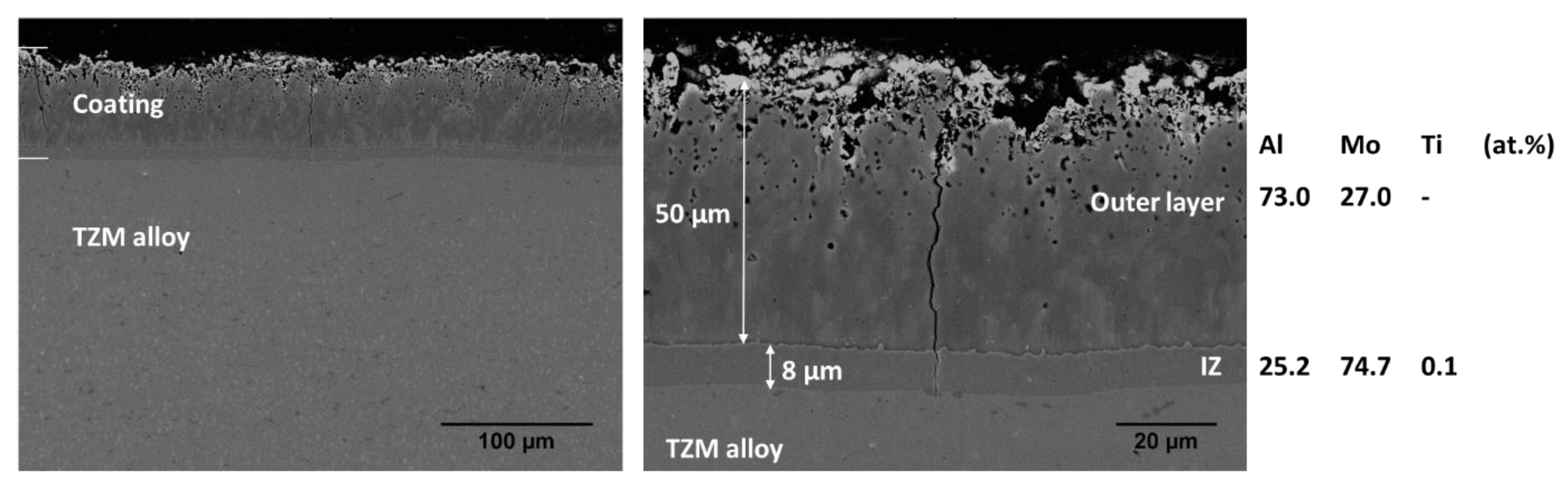 Aluminide Coatings by Means of Slurry Application: A Low Cost ...