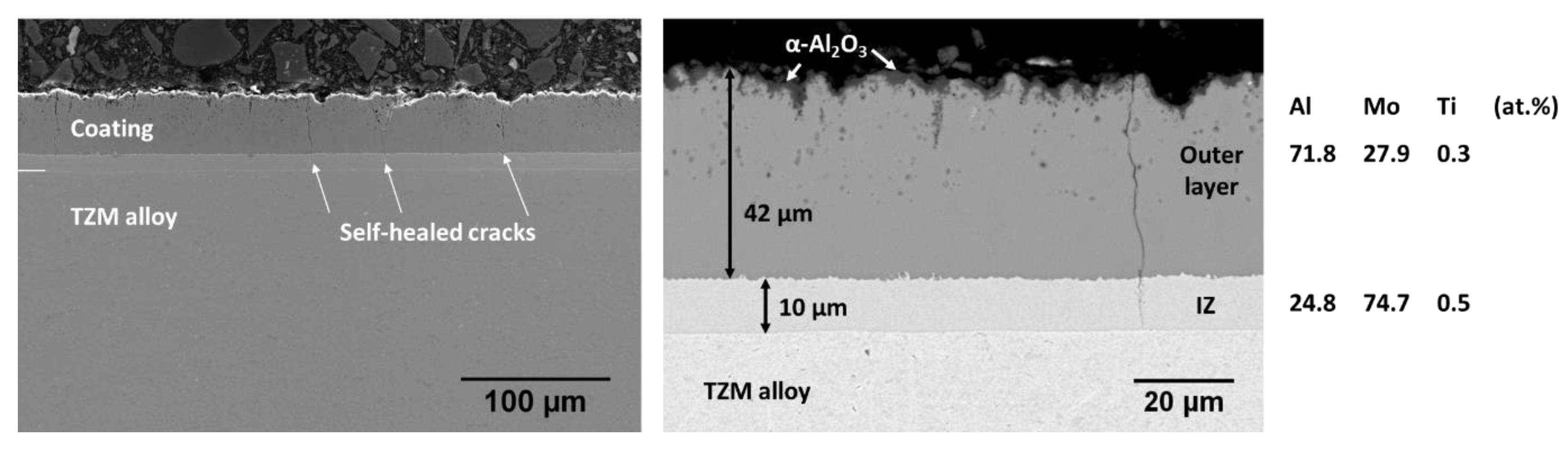 Aluminide Coatings by Means of Slurry Application: A Low Cost ...