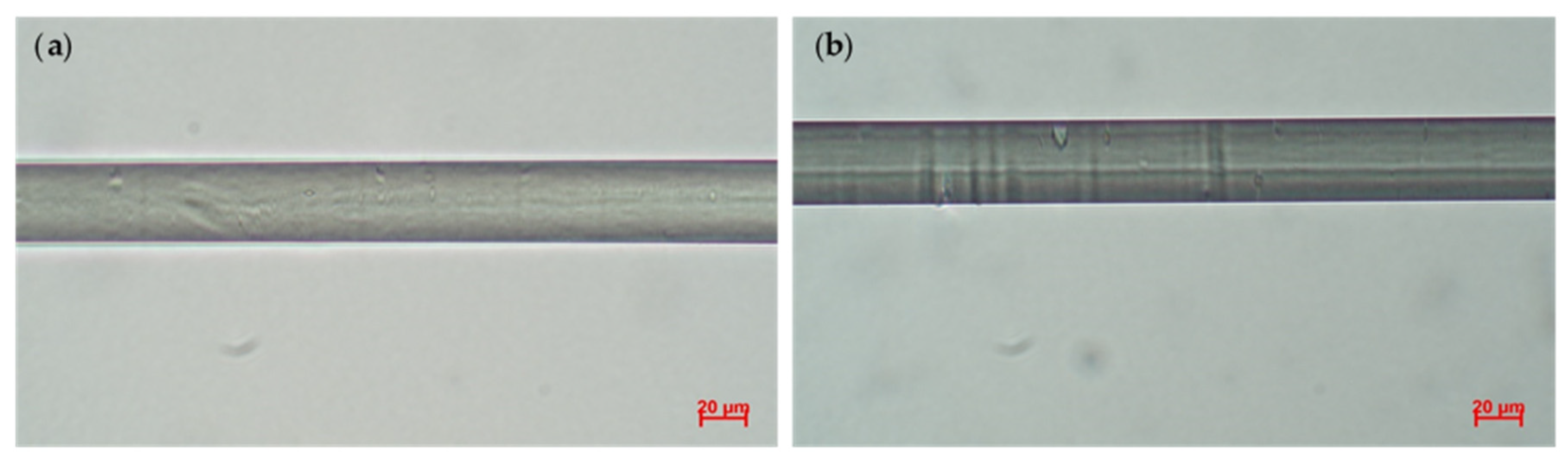 Investigations of the Interface Design of Polyetheretherketone Filament ...