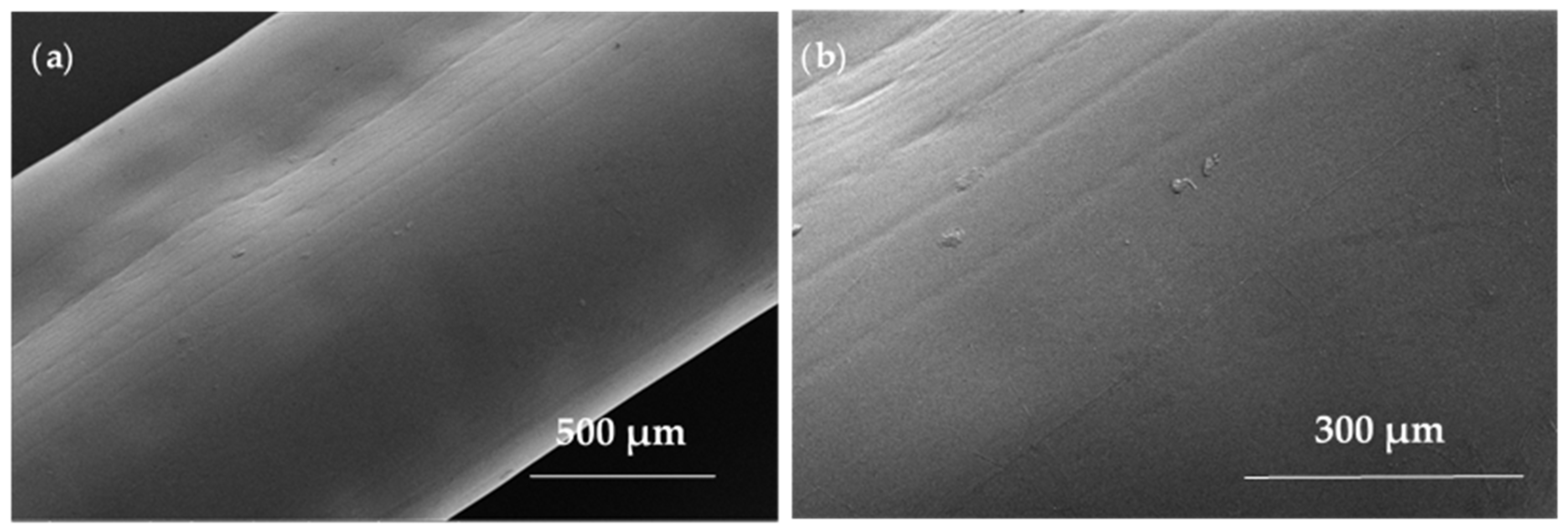 Investigations of the Interface Design of Polyetheretherketone Filament ...