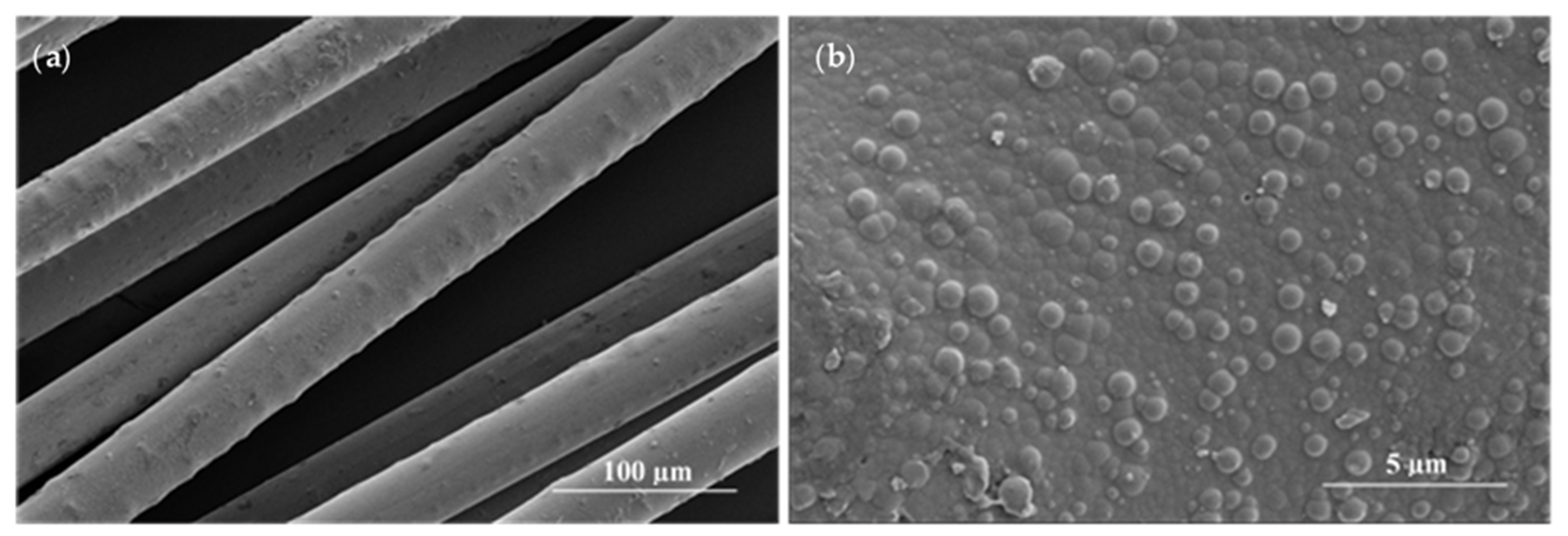 Investigations of the Interface Design of Polyetheretherketone Filament ...