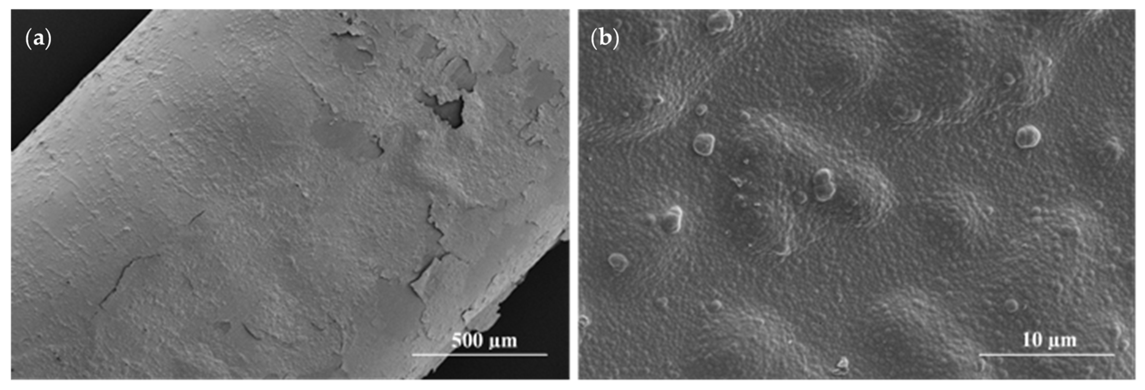 Investigations of the Interface Design of Polyetheretherketone Filament ...