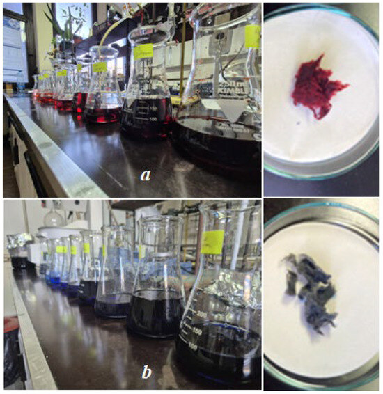 Unmodified Hemp Biowaste as a Sustainable Biosorbent for Congo Red and ...