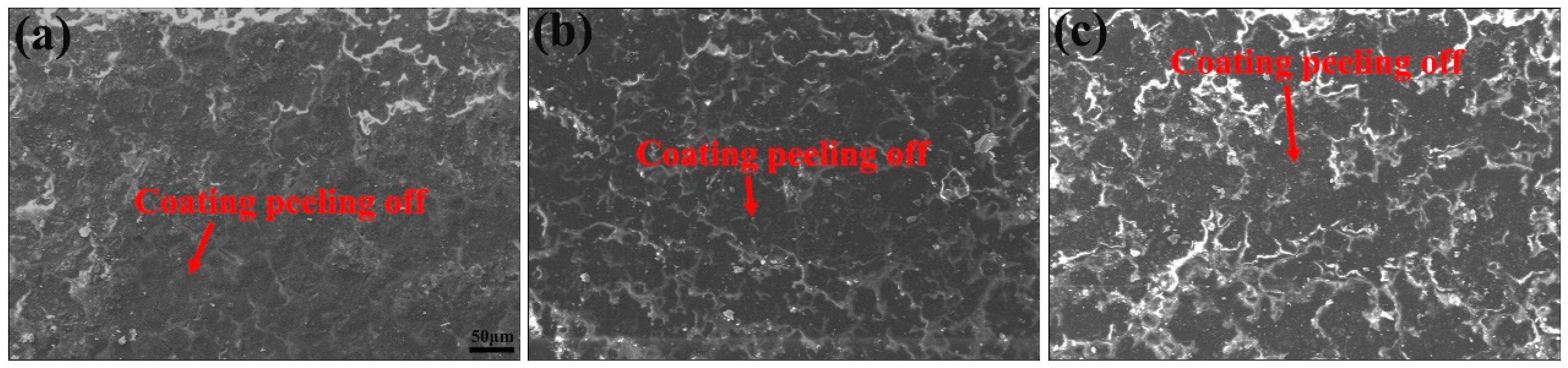 Investigation of Microstructure and Hydrogen Barrier Behavior in Epoxy ...