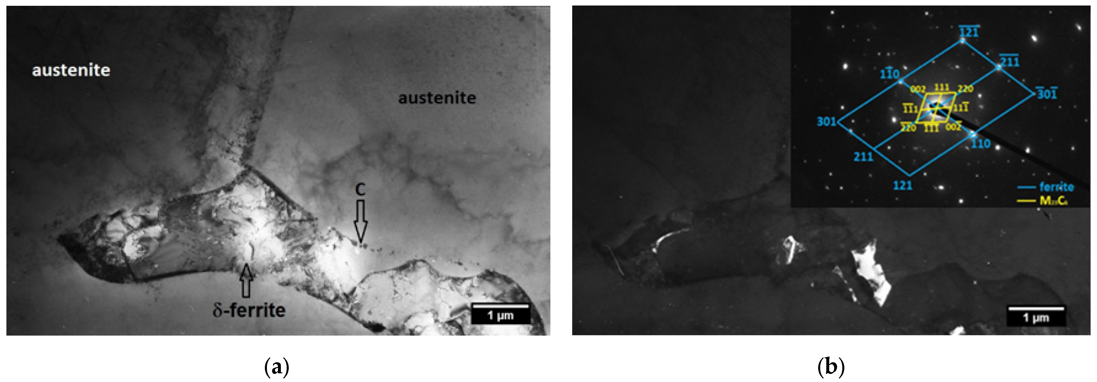 TiN-Ag Multilayer Protective Coatings for Surface Modification of AISI ...