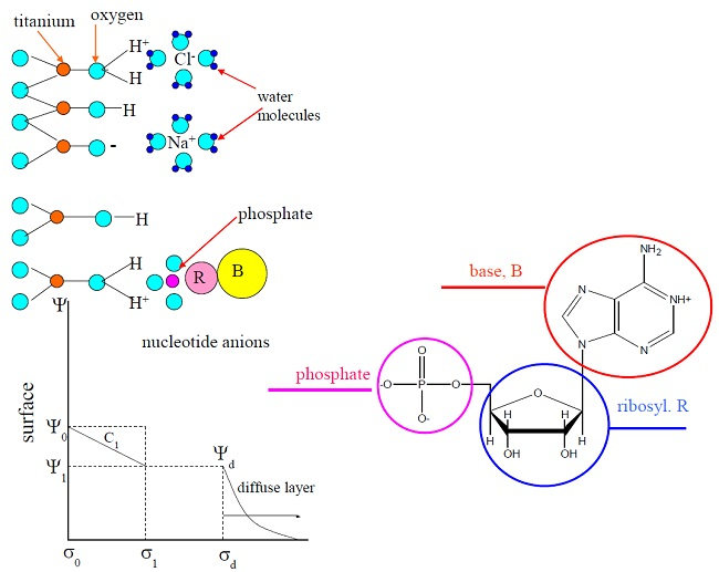 Colloids and Interfaces | Free Full-Text | Surface Complexation ...