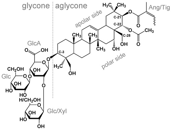 Self-Assembly of the Bio-Surfactant Aescin in Solution: A Small-Angle X ...