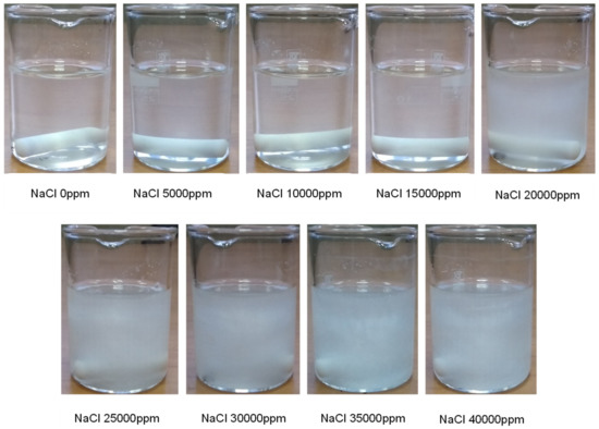 Salt Effects on Formation and Stability of Colloidal Gas Aphrons ...