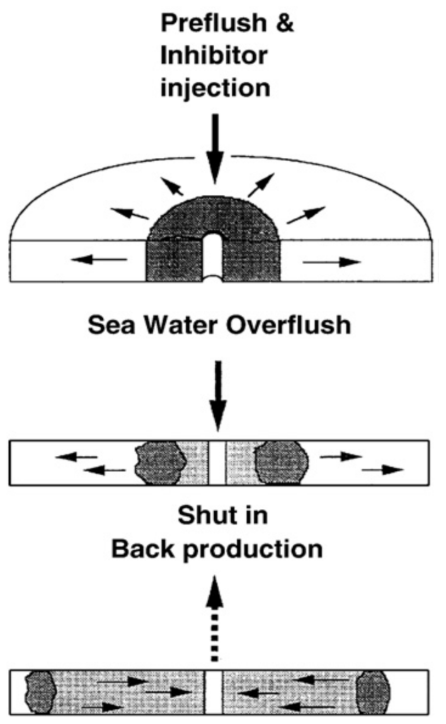 Effect of Produced Sand Particles and Fines on Scale Inhibitor: A Review
