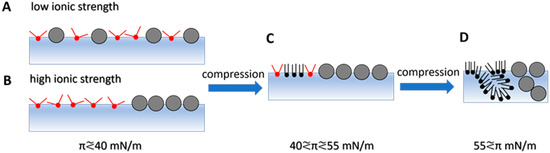 Colloids and Interfaces | An Open Access Journal from MDPI