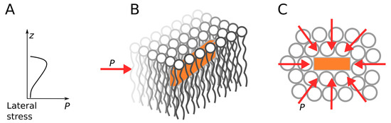 Colloids and Interfaces | An Open Access Journal from MDPI