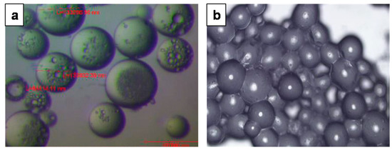 An Overview of Coacervates: The Special Disperse State of Amphiphilic ...