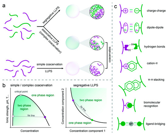 Colloids and Interfaces | Free Full-Text | An Overview of Coacervates ...