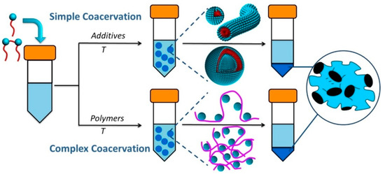 Colloids and Interfaces | Free Full-Text | An Overview of Coacervates ...