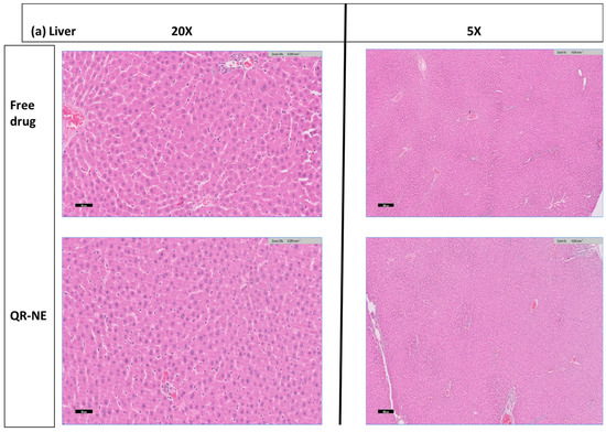 Colloids and Interfaces | An Open Access Journal from MDPI