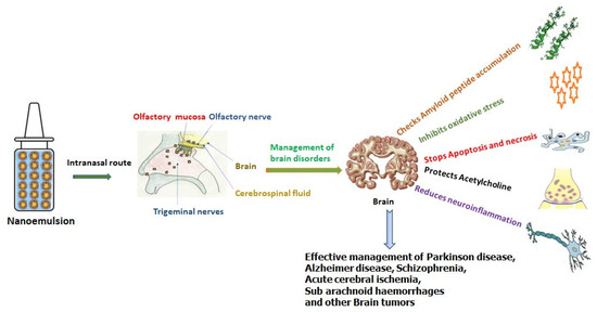Nose-to-Brain Targeting via Nanoemulsion: Significance and Evidence