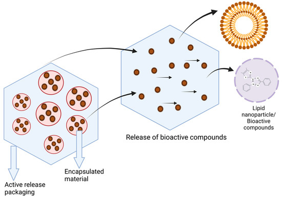 Release of Encapsulated Bioactive Compounds from Active Packaging ...