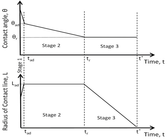 Superspreading Surfactant on Hydrophobic Porous Substrates