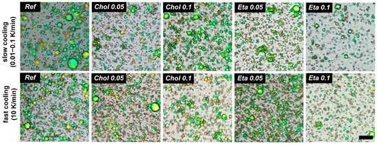 Effects of Cooling Rate and Emulsifier Combination on the Colloidal ...