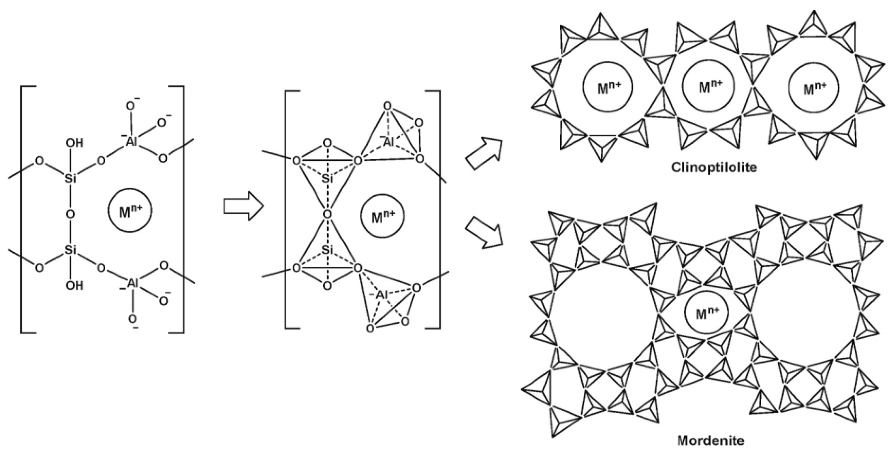 Polymer–Zeolite Composites: Synthesis, Characterization and Application