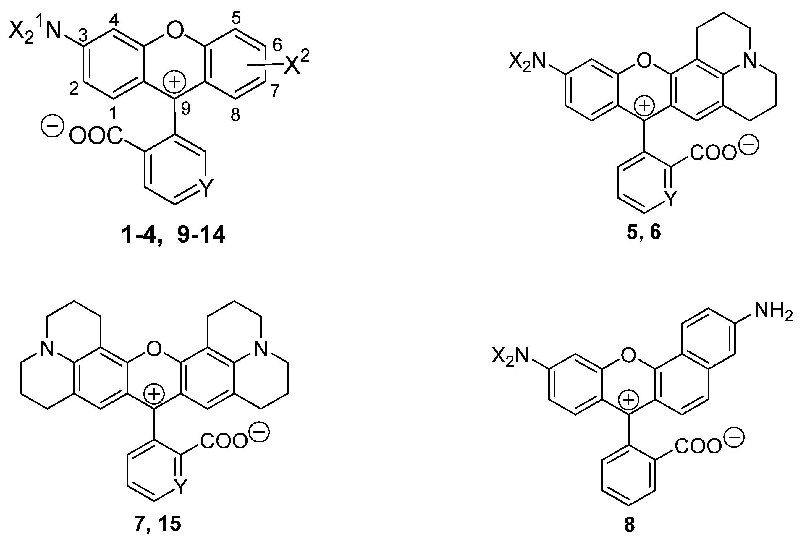 Stability of Rhodamine Lactone Cycle in Solutions: Chain–Ring ...