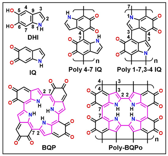Melanin-Binding Colorants: Updating Molecular Modeling, Staining and ...