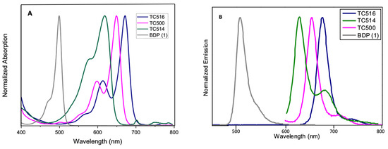 A Study on the Structure, Optical Properties and Cellular Localization ...