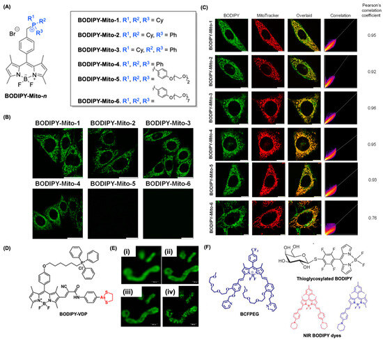 BODIPY Dyes: A New Frontier in Cellular Imaging and Theragnostic ...
