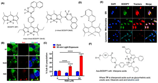 BODIPY Dyes: A New Frontier in Cellular Imaging and Theragnostic ...