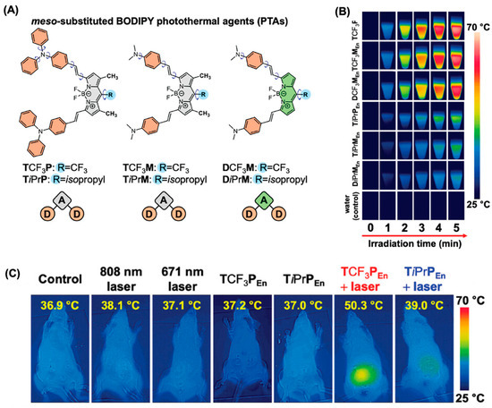 BODIPY Dyes: A New Frontier in Cellular Imaging and Theragnostic Applications