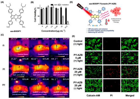 BODIPY Dyes: A New Frontier in Cellular Imaging and Theragnostic ...