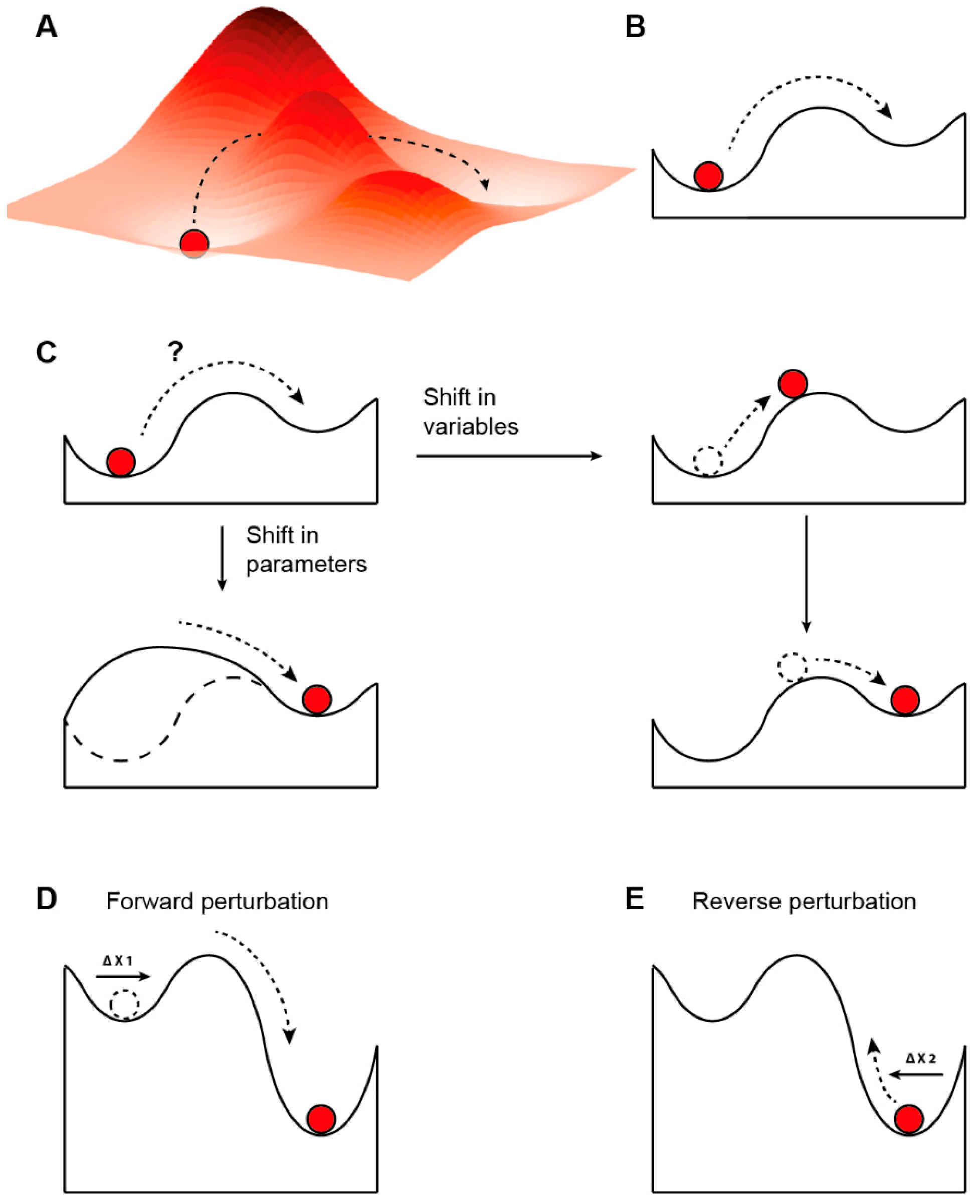 The Concept of Homeodynamics in Systems Theory