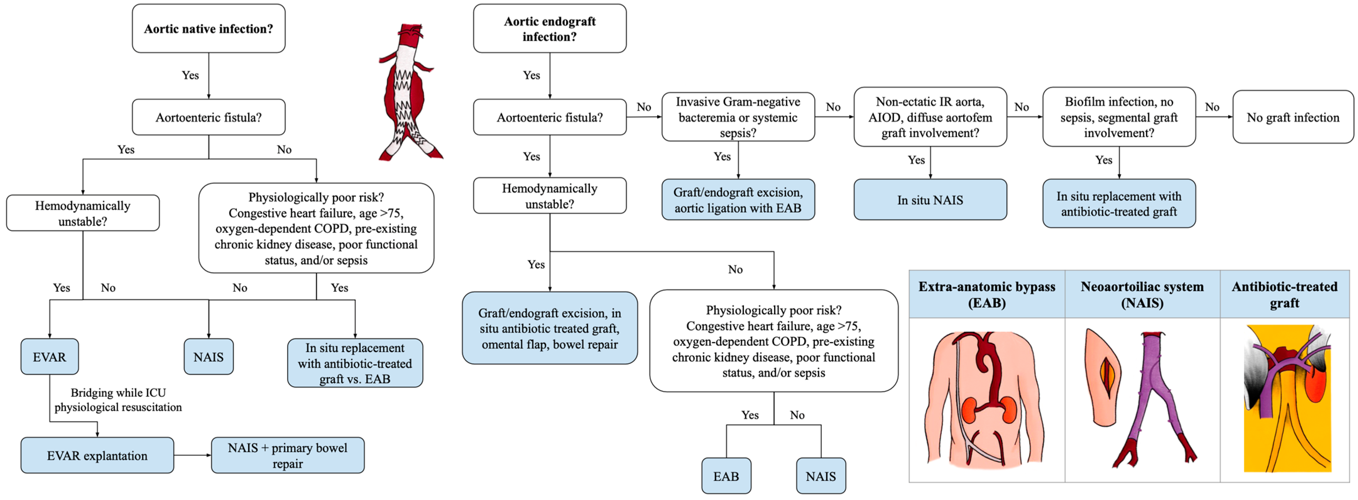 Aortic Endograft Infections: A Race against Time